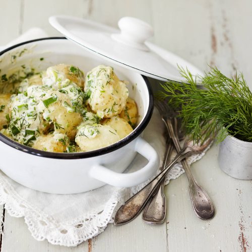 Monipuolinen sipuli - Valio