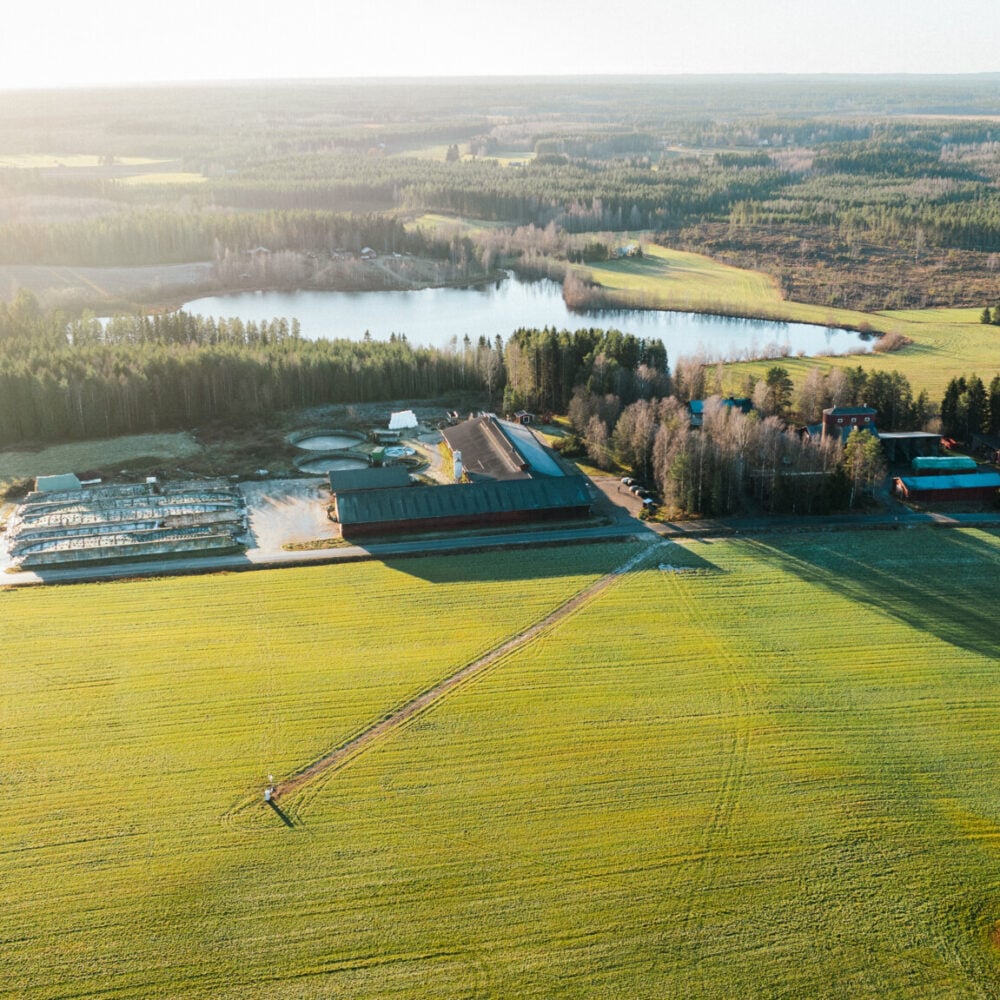 Uusi tukku sai nimekseen Valio Aimo® “Yhdistämme kokemuksen ...