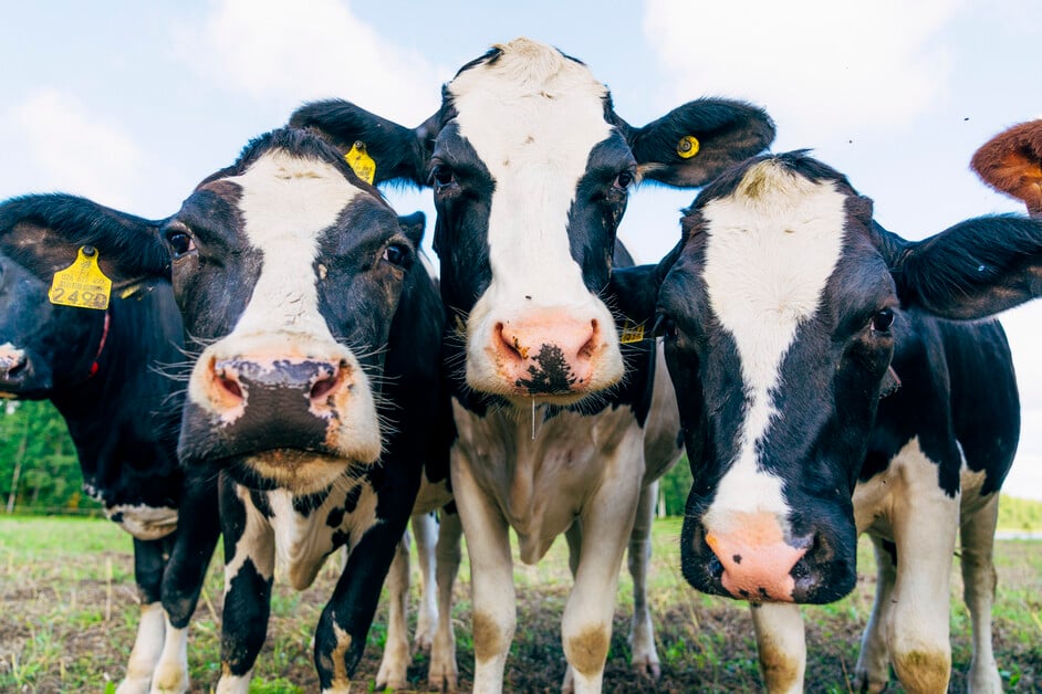 Valio's sustainability report 2024 published - valio.com