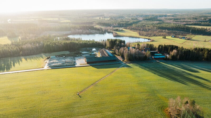 Valio’s sustainability programme focuses on climate work and animal welfare - valio.com