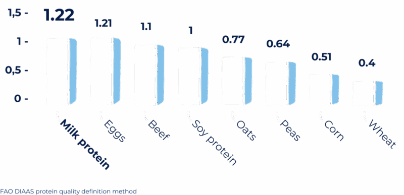 Dairy-based protein solutions