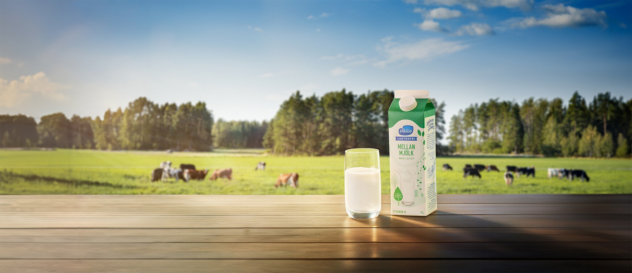 Start - Valio Sverige