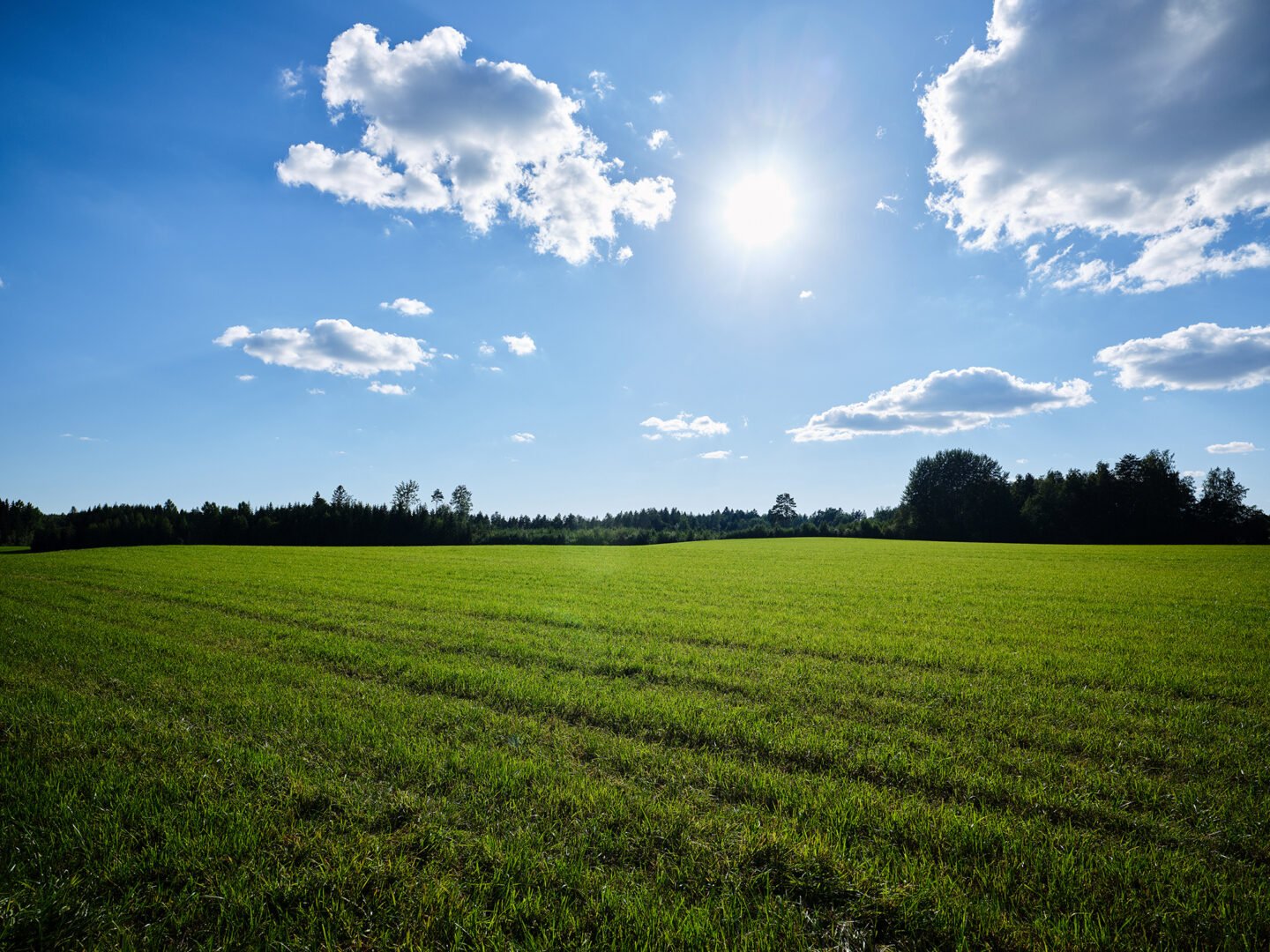 Information om Bovaer - Valio Sverige